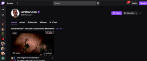 Black Gaming Influencers and Disabled/Neurodivergent Streamers