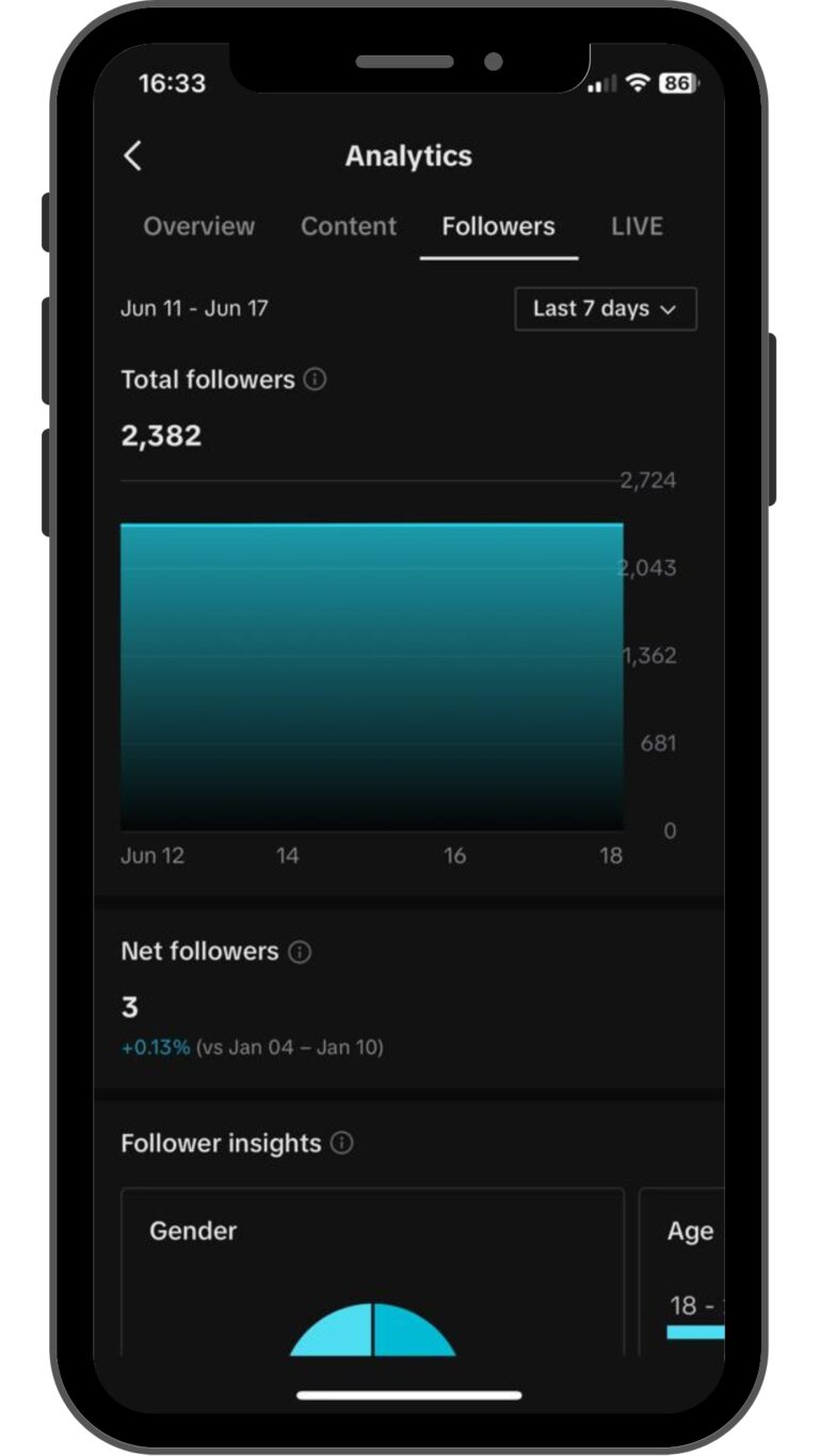 Your TikTok Analytics Decoded
