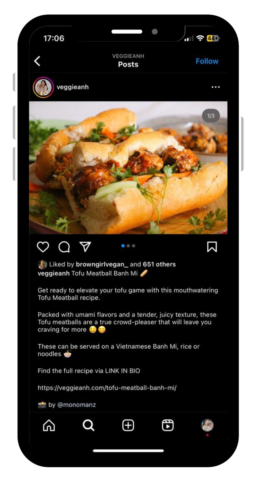 Top 15 Vegan Influencers 2024: Instagram & TikTok